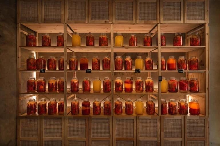 Fermented Foods: A Global Journey to Dubai’s Cuisine